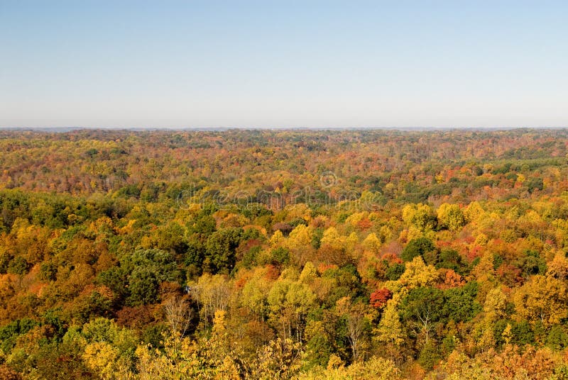 Colorful forest in autumn stock image. Image of remoteness - 6818615
