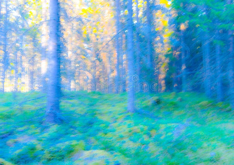 Colorful forest defocused stock photo. Image of motion - 270885144