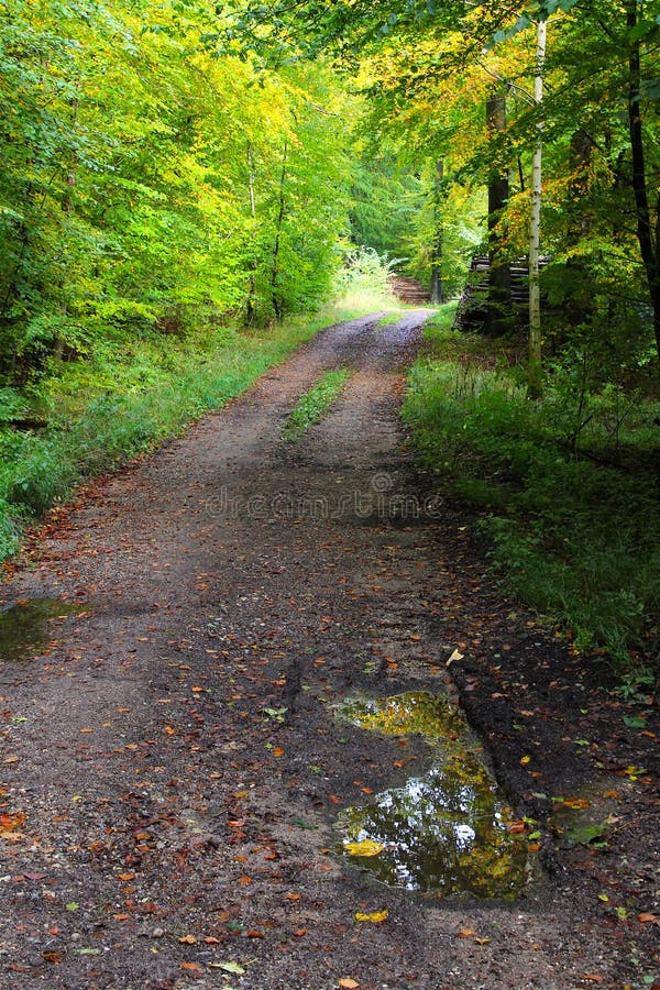 Colorful forest trail stock image. Image of lovely, autumn - 80094775