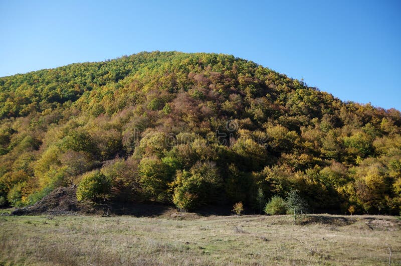 Hill of Trees stock image. Image of digital, abstract - 128218465