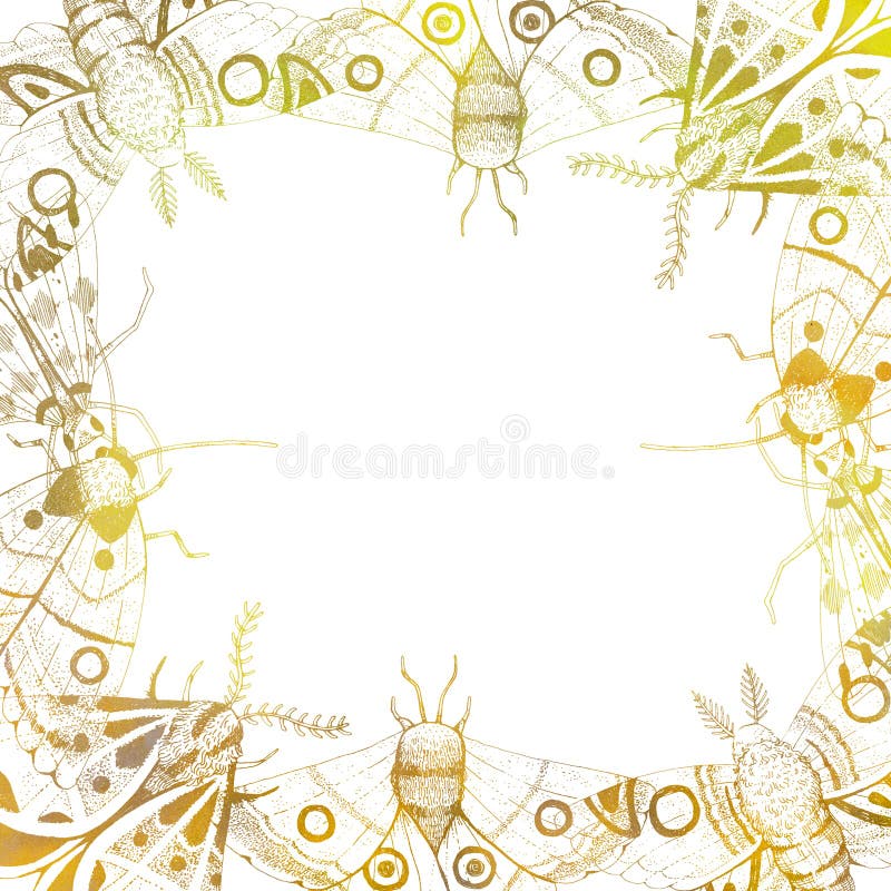 Colorful Frame Hand Drawn Ink Moth. Template Framework Stock Photo ...