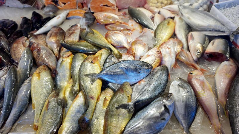 Colorful Fresh Fish in Taiwan Market Stock Photo - Image of yellow ...
