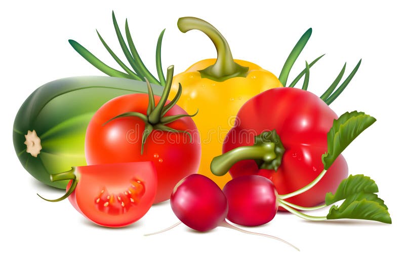 Vegetables Isolated stock vector. Illustration of fruits - 9889883
