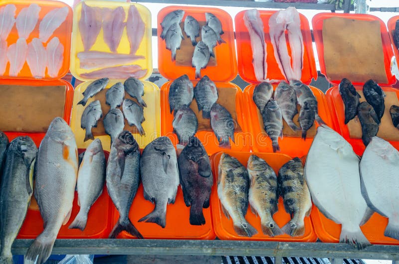 Colorful Fresh Tropical Fish in the Market of Lima, Peru. Stock Photo ...