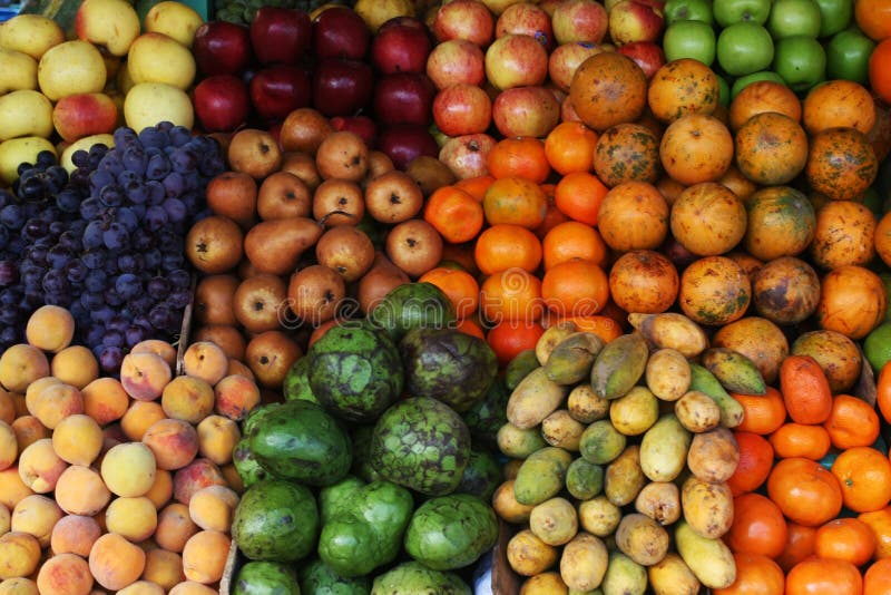 Colorful fruit stock image. Image of color, peach, peaches - 2967247