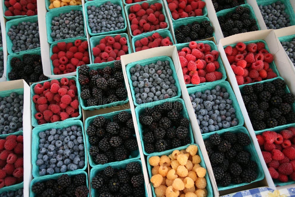 Colorful Fruit Berries in Boxes Stock Image - Image of market ...