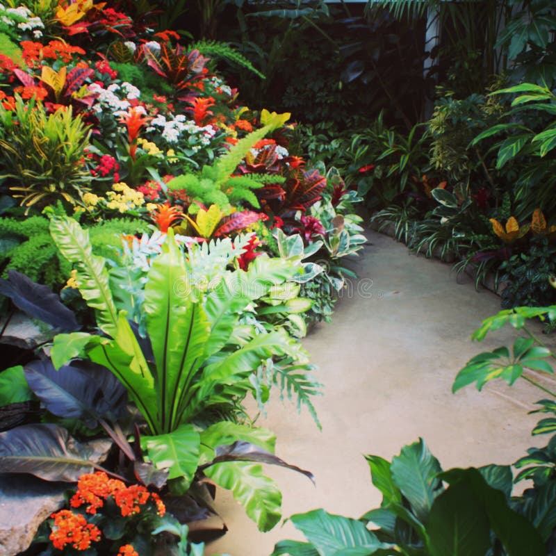 Colorful Garden in Canada stock photo. Image of green - 253578100