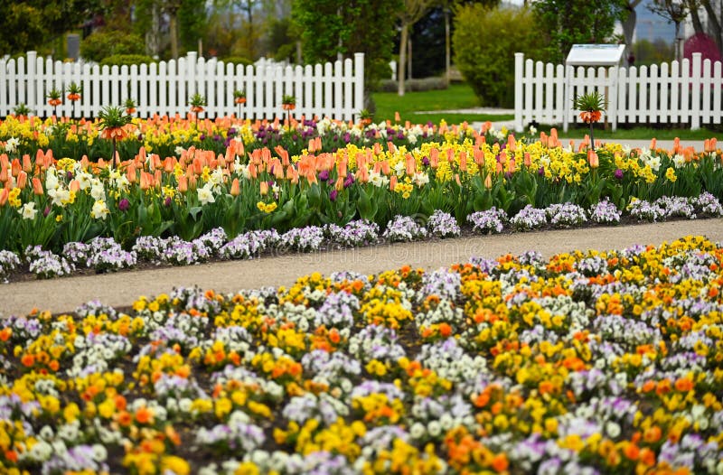 Colorful Garden with Spring Flowers Stock Image - Image of green, king ...
