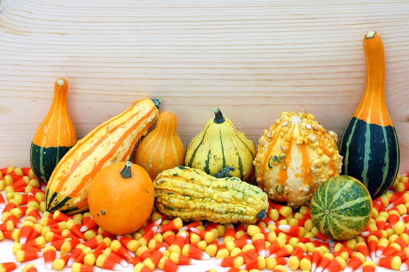 Colorful Gourds with Corn Tooth Candy Stock Image - Image of squash ...