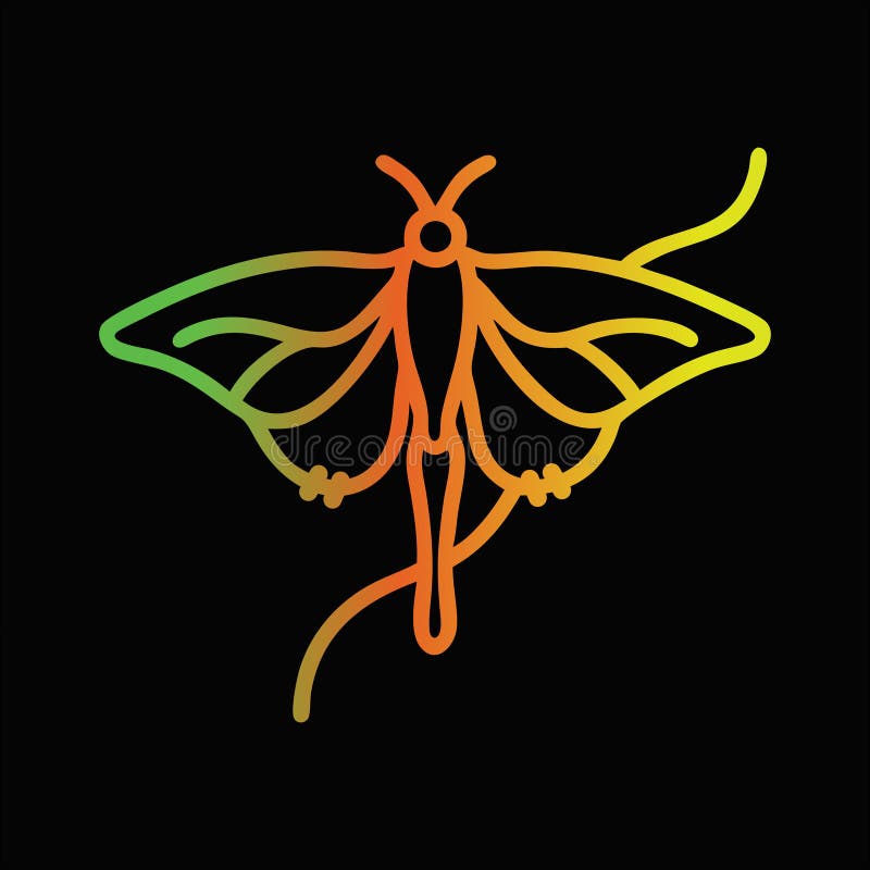Colorful Gradient Line Art Moth on Black Background Stock Vector - Illustration of elegant ...