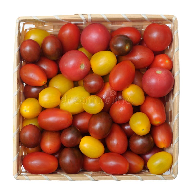 Colorful grape tomato stock photo. Image of bamboo, shiny - 41281100