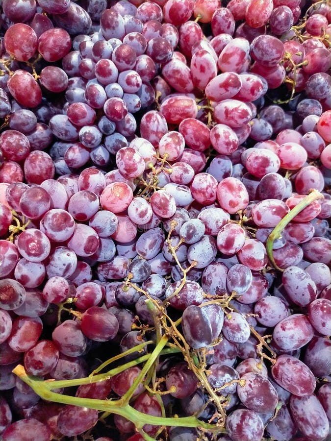 Colorful Grapes in a Stall in the Supermarket Stock Image - Image of ...