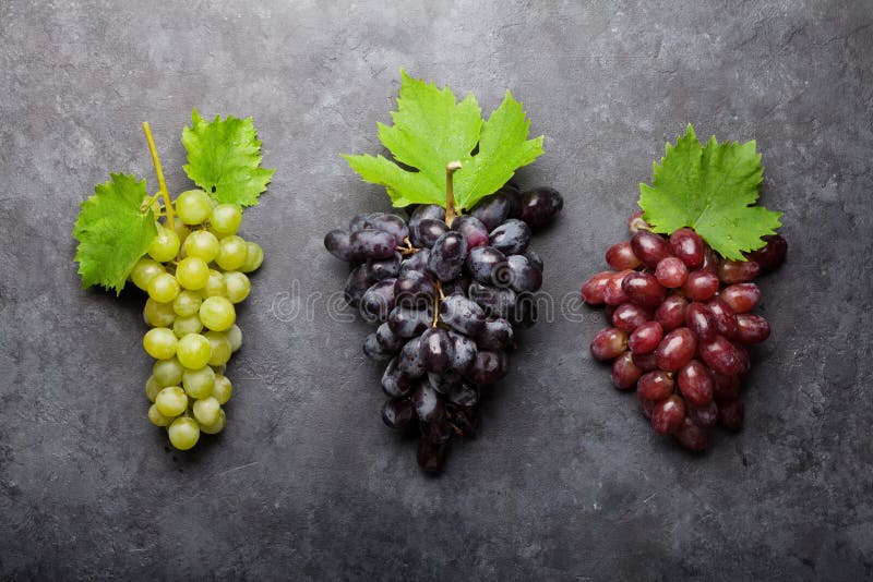 Colorful grapes stock photo. Image of card, colorful - 156864388