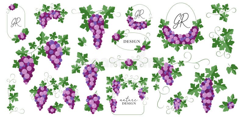 Colorful Grapevine Branches Flat Design in a Vector Art Stock ...