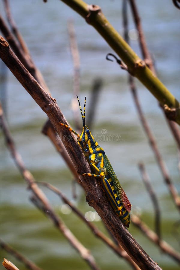 199 Biology Hd Stock Photos - Free & Royalty-Free Stock Photos from ...
