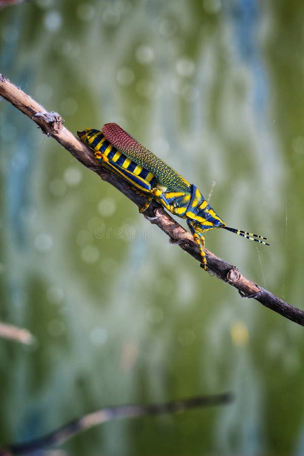 199 Biology Hd Stock Photos - Free & Royalty-Free Stock Photos from ...