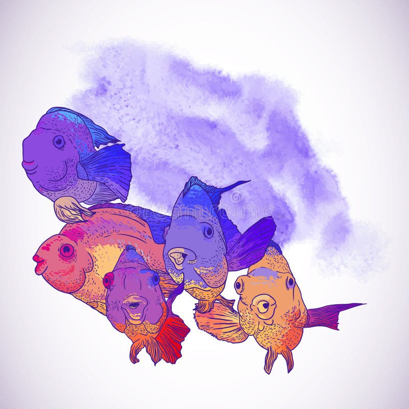 Colorful Greeting Card with Fish Stock Vector - Illustration of card ...