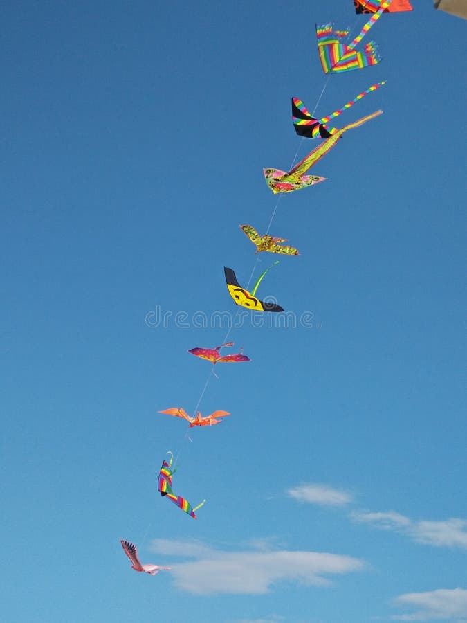 A Colorful Group of Flying Kites Stock Photo - Image of blows, italy ...