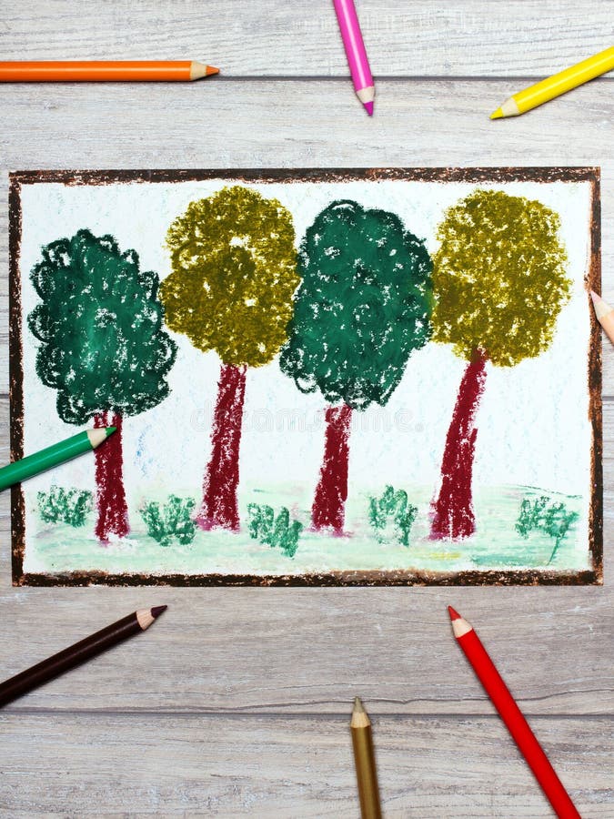 Drawing and Crayons: Deciduous Trees. Spring Forest Stock Image - Image ...