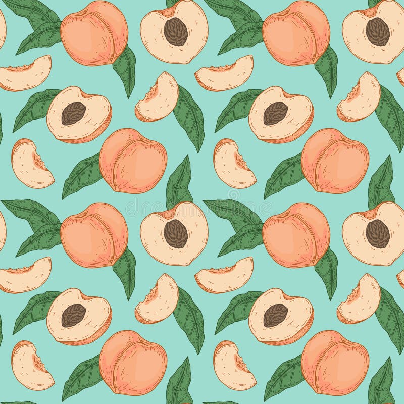Colorful Hand Drawn Peach Seamless Pattern. Vector Illustration Stock ...