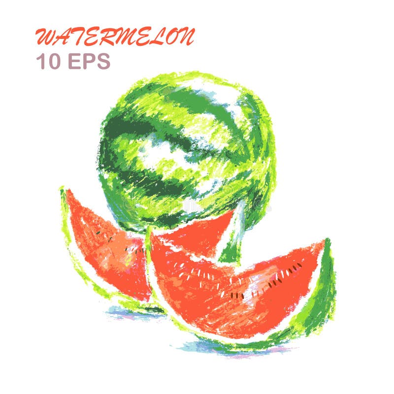 Colorful Hand Drawn of Watermelon.vector Illustration Stock Vector ...