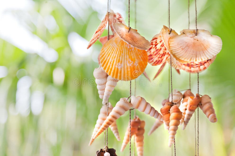 Colorful hanging shells stock photo. Image of tropical - 33198244