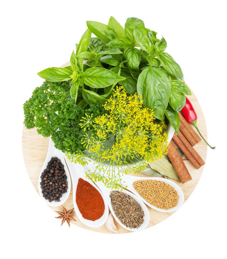Colorful Herbs and Spices Selection Stock Image - Image of basil, dill ...