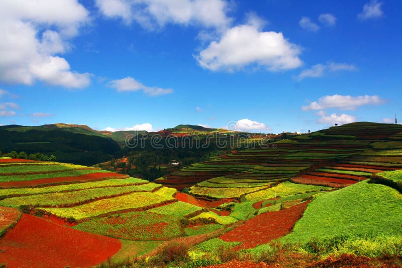 The colorful autumn filed stock image. Image of china - 4937773