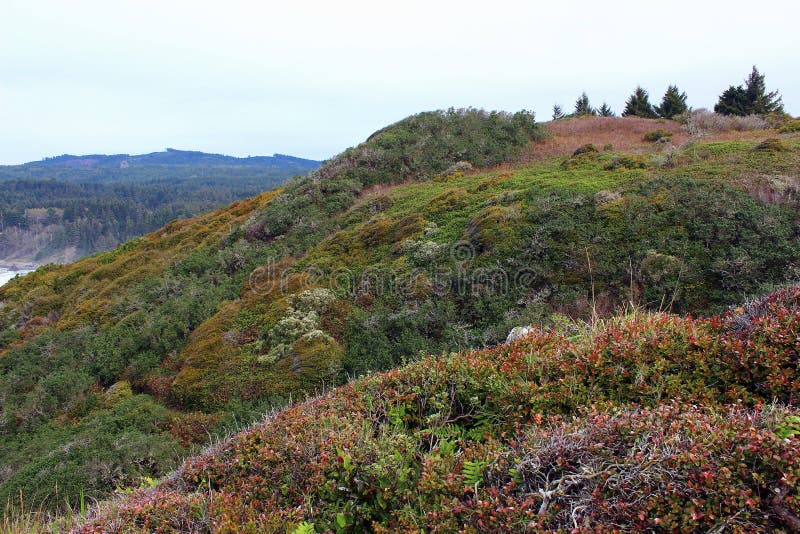 Colorful hill stock photo. Image of north, mountains - 49393584