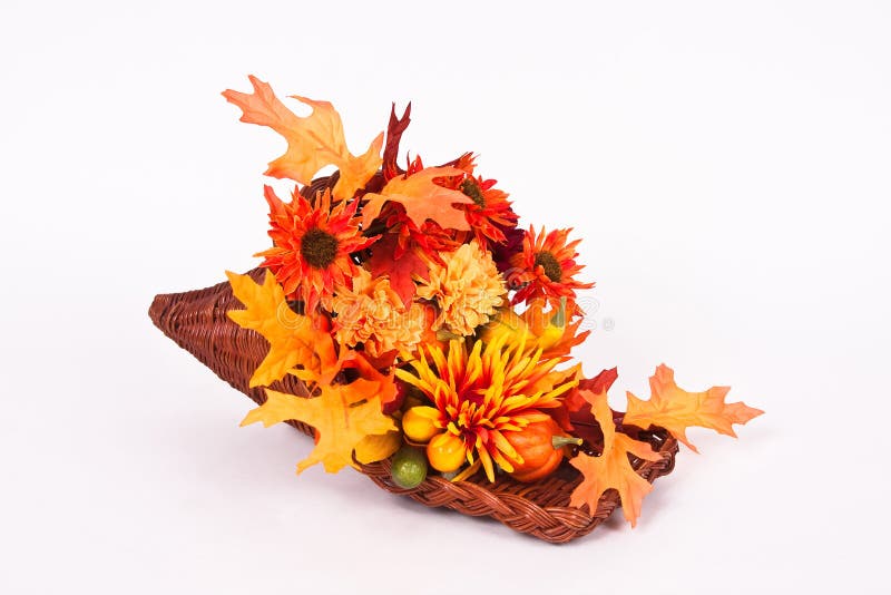 Colorful Horn of Plenty stock photo. Image of leaves - 16735386