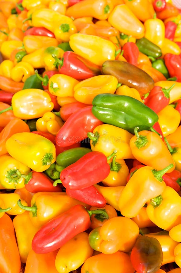 Colorful hot peppers stock photo. Image of nature, healthy - 10666298