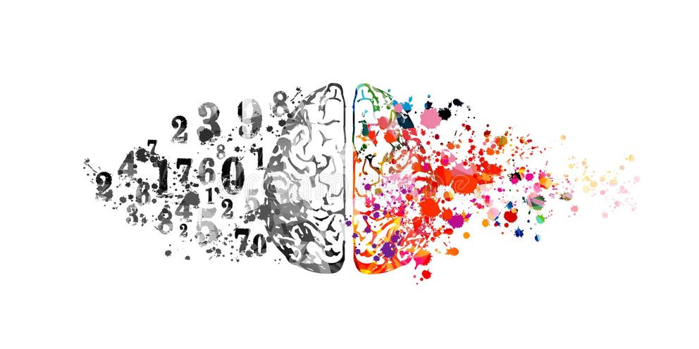 Colorful Human Brain with Numbers Isolated Vector Background Stock ...