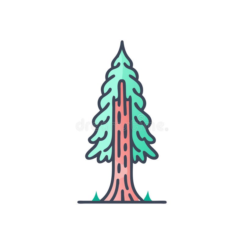 Cartoon Sequoia Tree Vector Illustration. Tree Isolated on White Stock ...