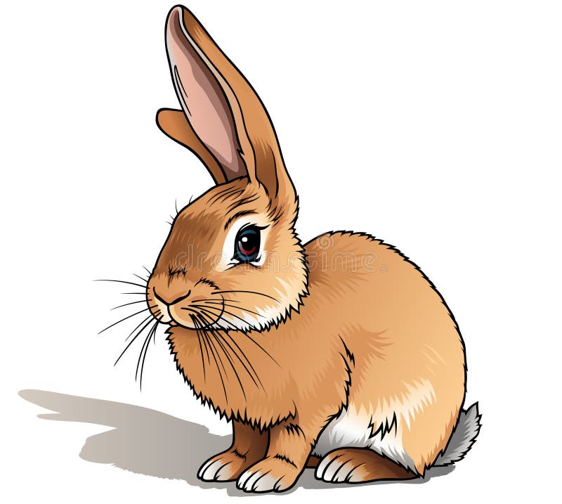 Cute Bunny Cartoon Vector Illustration Stock Vector - Illustration of ...