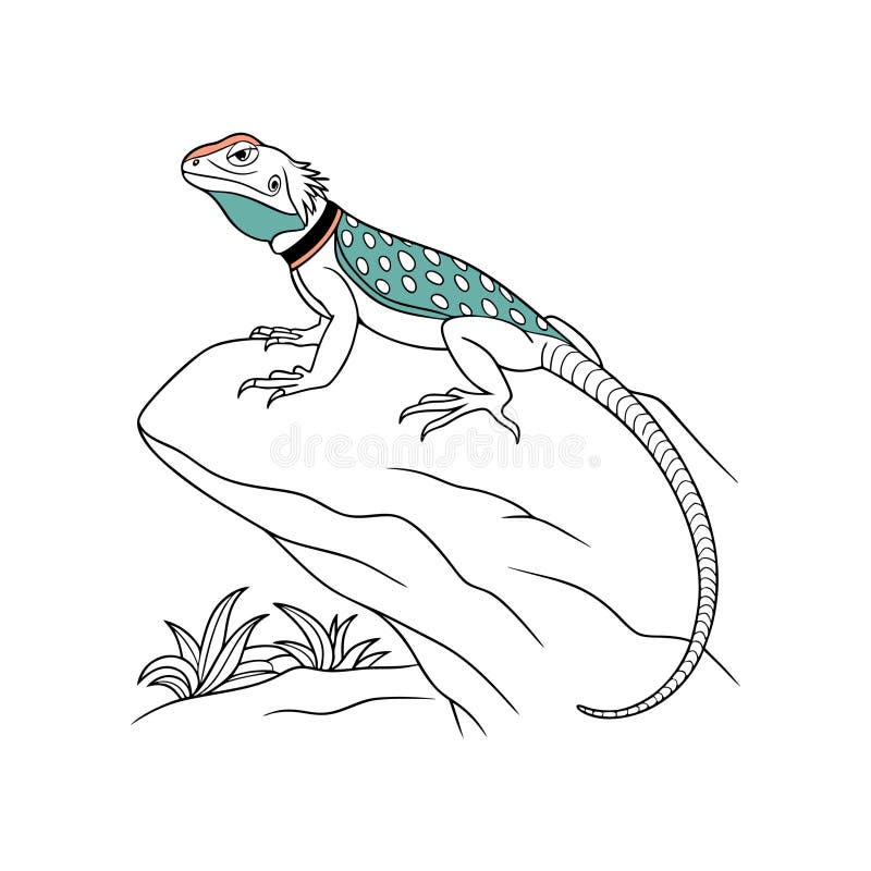 Colorful Illustration of Collared Lizard in Nature Stock Illustration ...