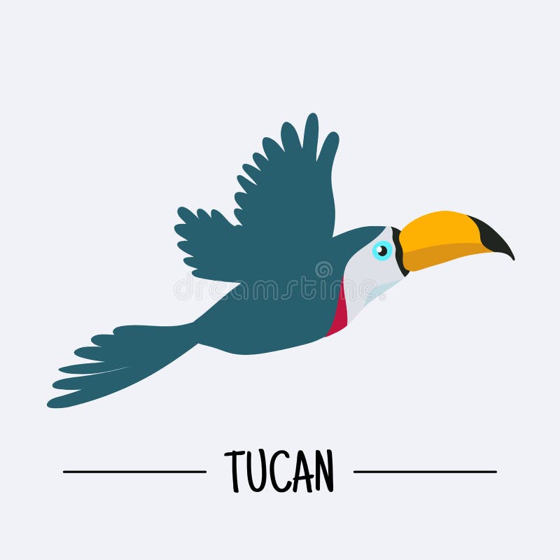 Flying Tucan Stock Illustrations – 129 Flying Tucan Stock Illustrations ...