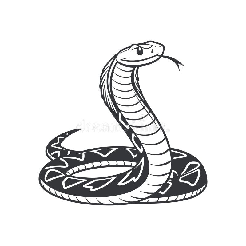 Colorful Illustration of Puff Adder in Habitat Stock Illustration ...