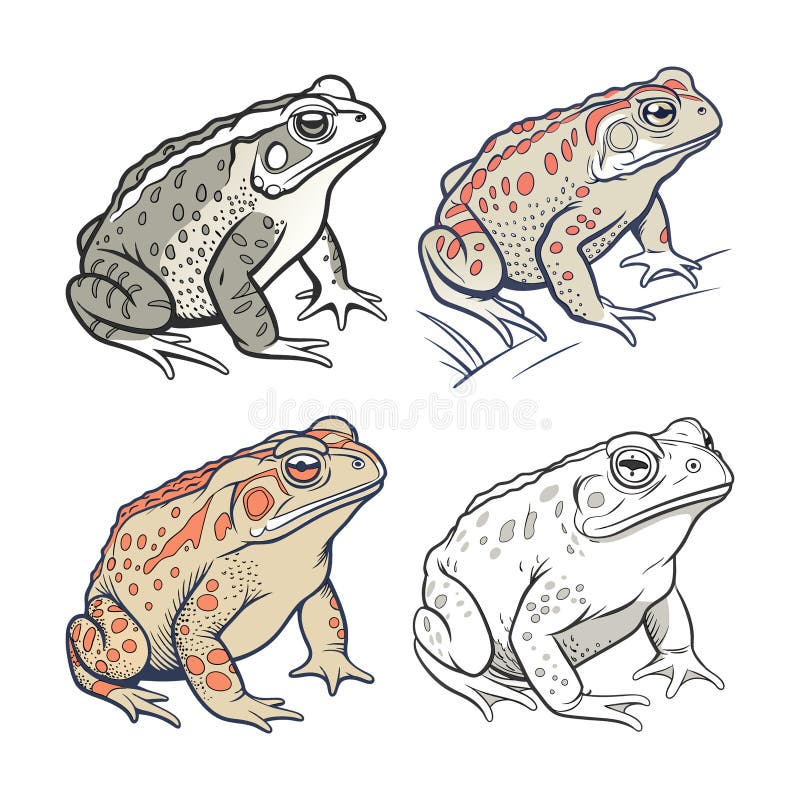 Realistic Colorado River Toad Colorful Illustration Stock Vector ...