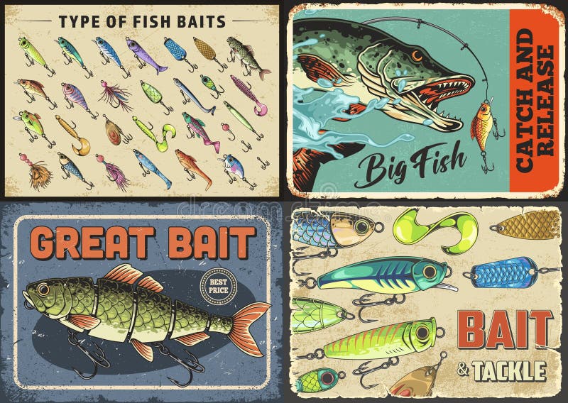 Fish Bait Guide for Successful Fishing Adventures Stock Vector ...