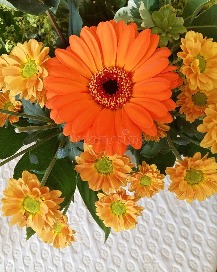 Inside Flowers through the Iron Flowers on the Door Stock Photo - Image ...