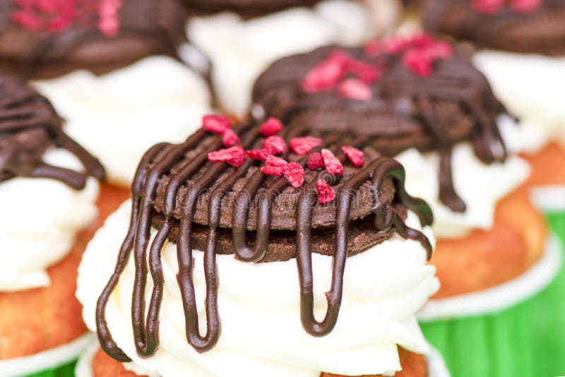Colorful Juicy Cupcake with Dark Pastry on the Top Stock Photo - Image ...