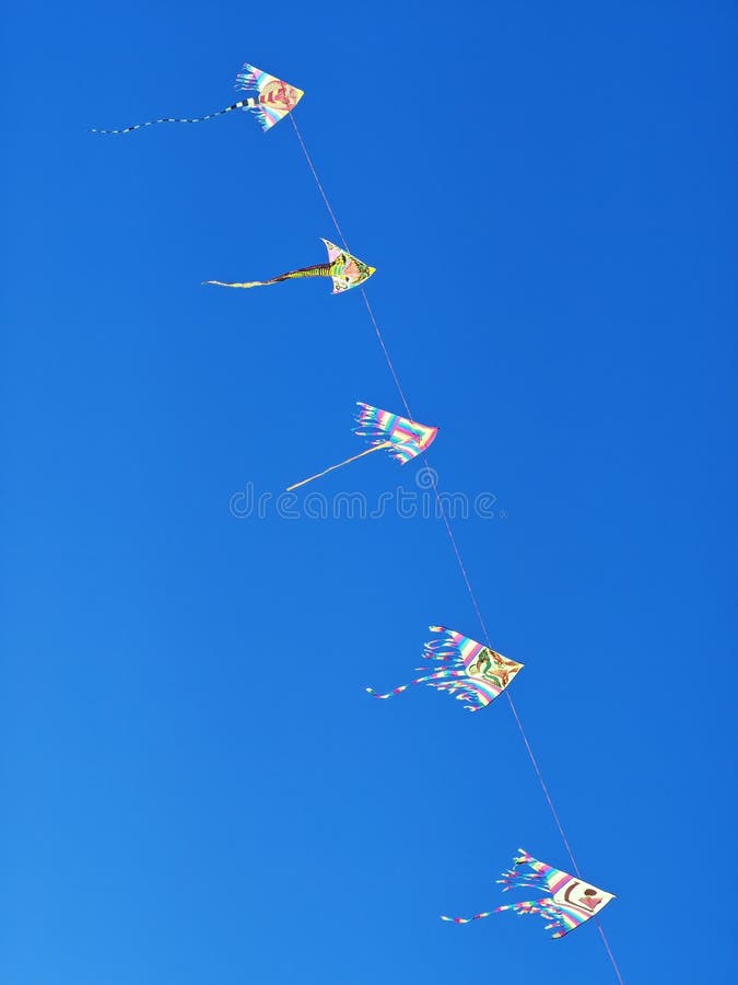 Colorful Kites Flying Over the Sea Stock Image - Image of kites, wind ...