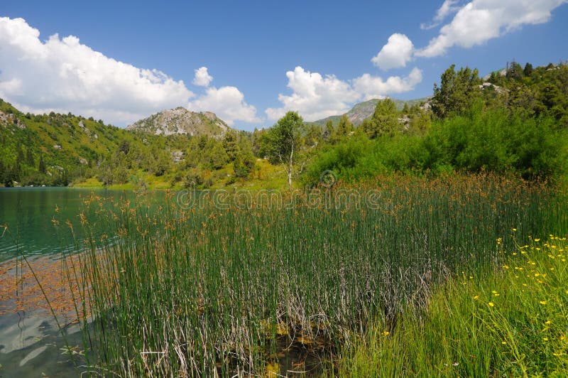 Colorful Lake with Cane, Sky and Clouds Stock Photo - Image of climb ...