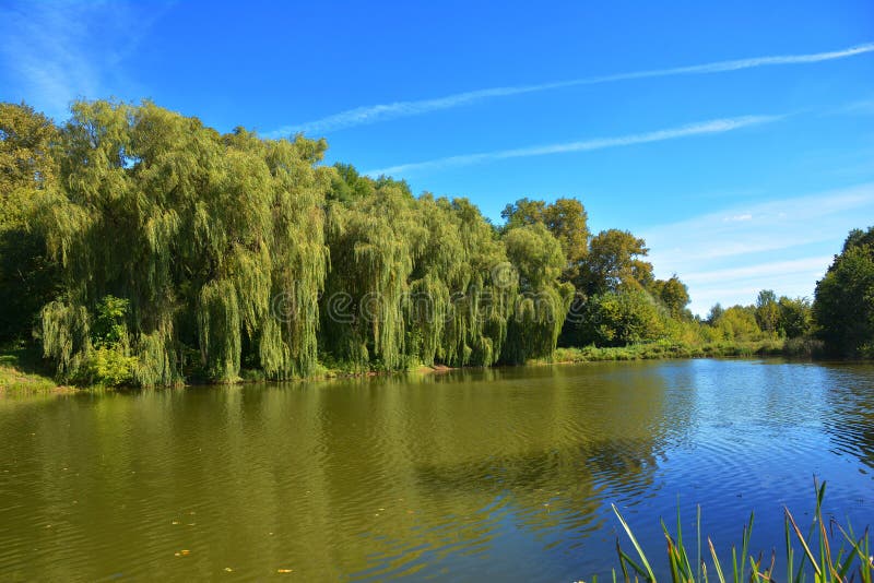 Colorful Lake View. Beautiful Lake View in Northen Ukraine - Polesia ...