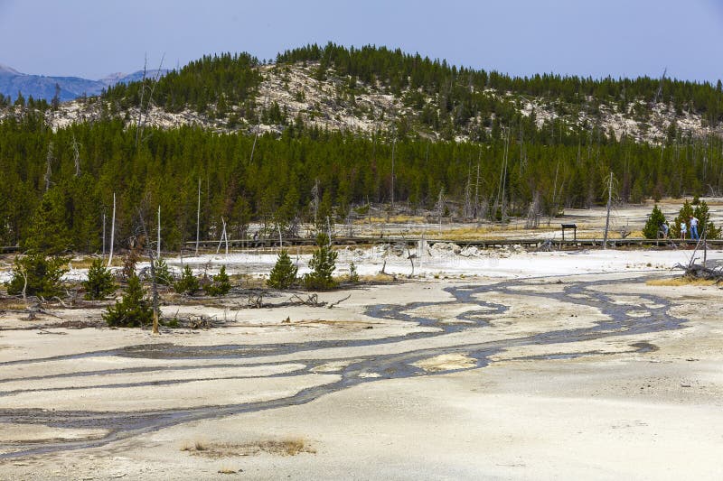 Colorful land stock photo. Image of landscape, trees - 26805538