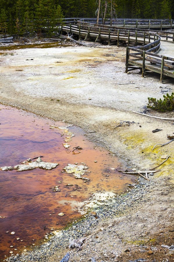 Colorful land stock image. Image of nature, plants, landscape - 26805543