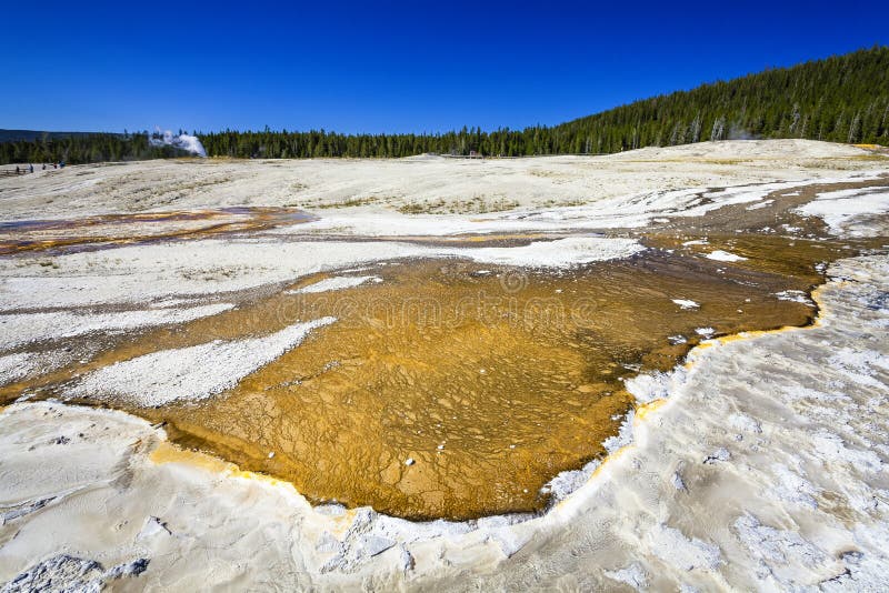 Colorful Land with a Cactus N the Wilderness Stock Photo - Image of ...