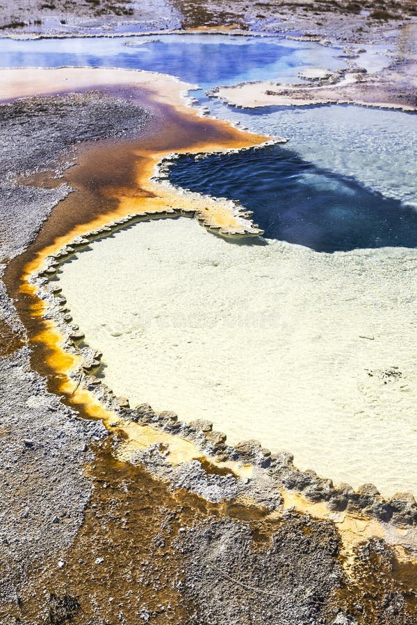 Colorful Land with a Cactus N the Wilderness Stock Photo - Image of ...