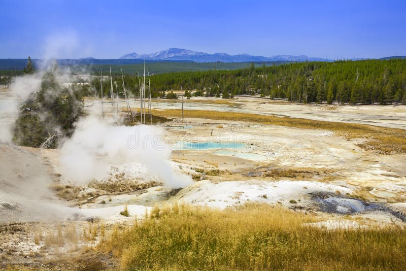 Colorful Land with a Cactus N the Wilderness Stock Photo - Image of ...