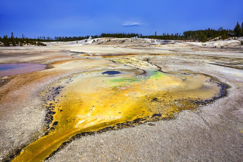 Colorful land stock image. Image of trees, blue, pool - 26805845
